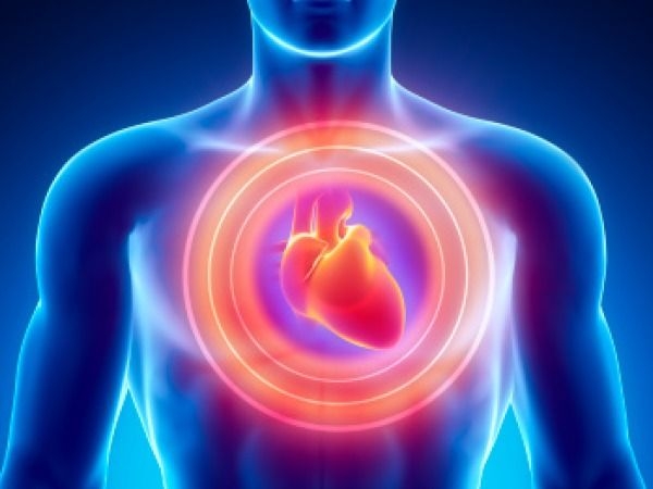 Hypertension The Link Between High Blood Pressure And Heart Disease 
