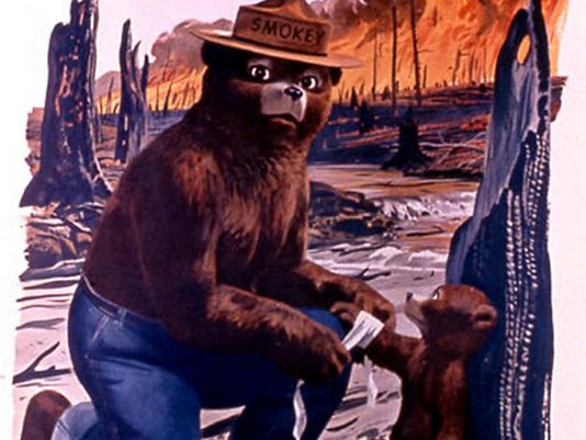 Meet Smokey Junior - The Bear Cub Who Survived A Forest Fire In Florida ...