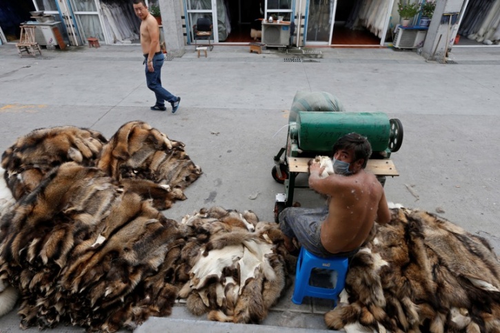 The Story Of The Unimaginable Cruelty Behind China's Fur Industry ...