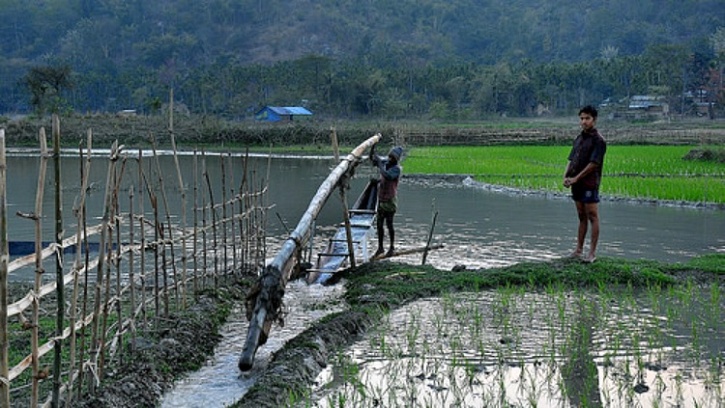 The Simple Irrigation System That's Been Helping A Village In Assam ...