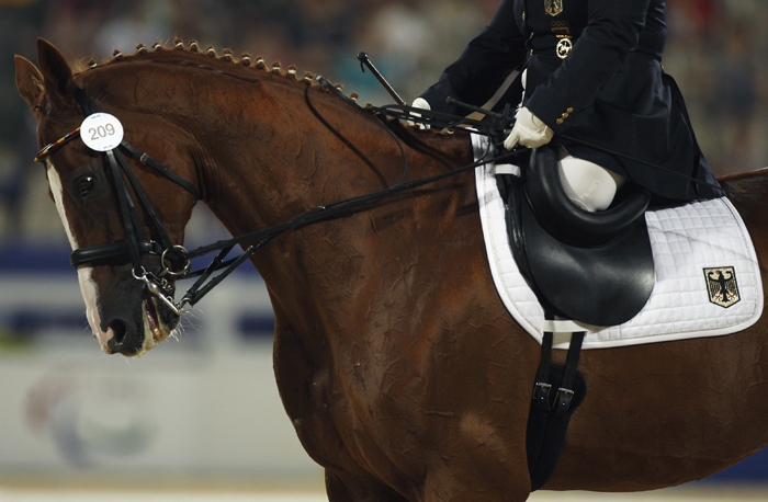 For These Paralympic Riders, Horses Are Man's Best Friends - Indiatimes.com