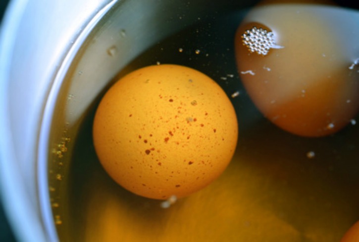 23 Of The World's Weirdest Dishes That Promise To Make Your Stomach Churn - Indiatimes.com