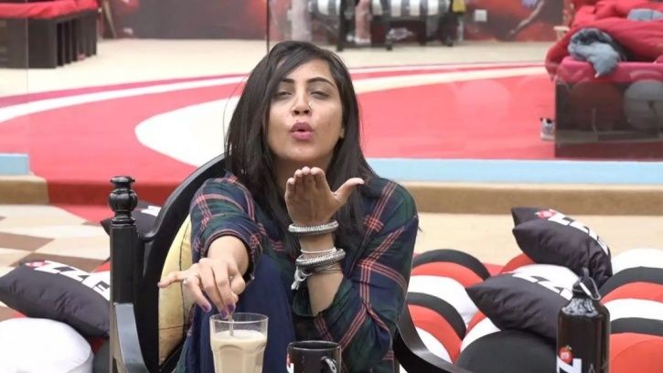 Salman Khan Bashes Bigg Boss 11 Contestant Arshi Khan She Alleges Him