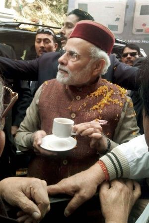 Of All The Great Things The Internet Has Given Us, Fish Bra Selfies Are ...