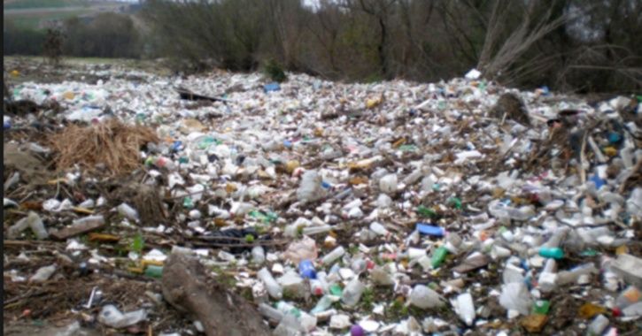 Fungus That Can Break Down Plastic In Just Weeks Discovered At Pakistan ...