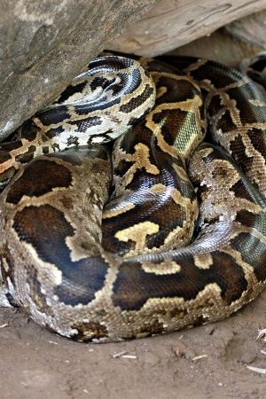 Woman Marries The Love Of Her Life Just Minutes Before Dying, Her Vows ...