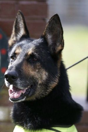 13 Unbelievable Facts About Pablo Escobar, The World's Most Dangerous ...