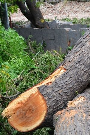 11 Types Of Chaat From Around India That Have Won Over Our Hearts And ...