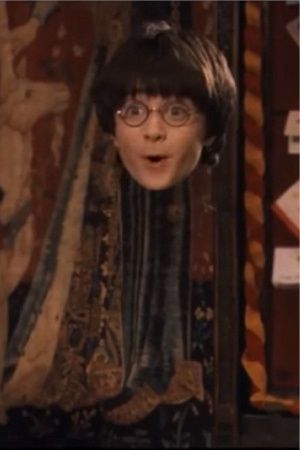 13 Hilarious Harry Potter Comics That Show Dumbledore Was Quite Dumb ...