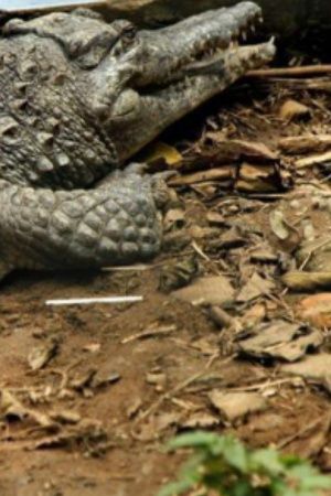 10 Images Of Religious Unity That Define The Idea Of India - Indiatimes.com