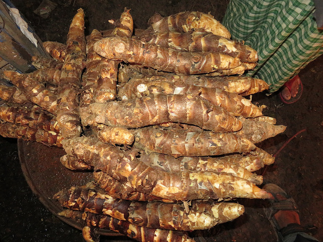 Kachu - Indiatimes.com