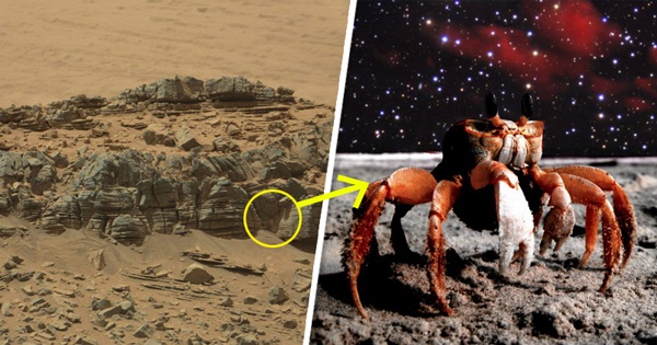 NASA's New Mars Image Showing A Crab Monster Is Making Earthlings Lose ...