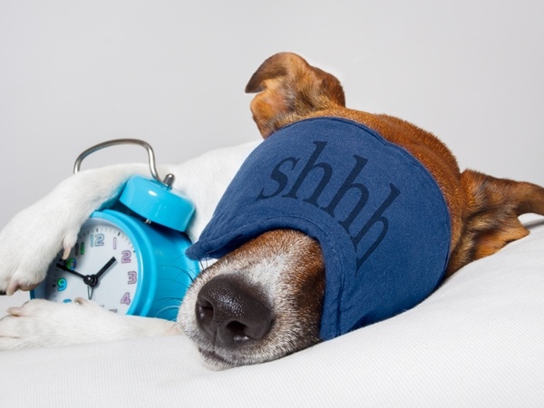 The Art of Taking an Afternoon Nap | Healthy Living