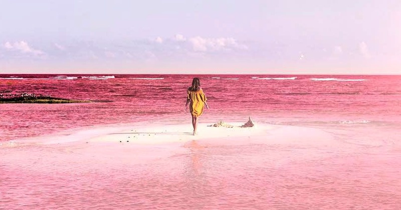 There Is A Naturally Pink Lagoon In Mexico And It Is The Most Beautiful ...