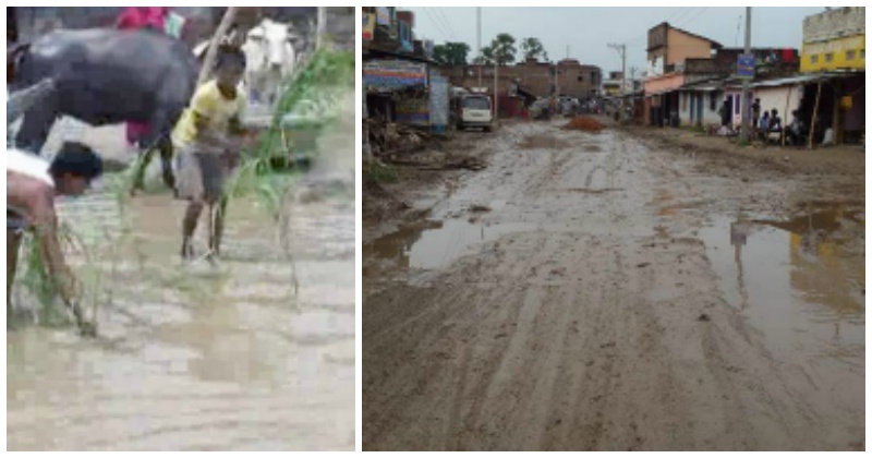 Bihar Farmers Protest Against Poor Infrastructure, Start Farming On ...