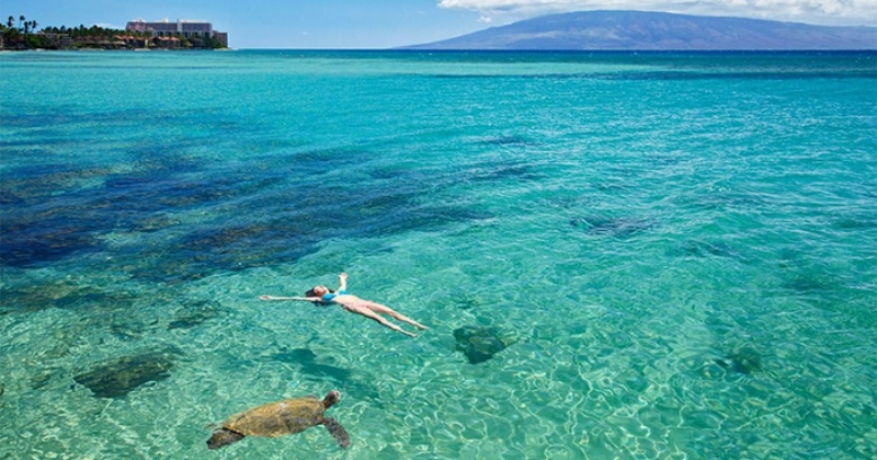 14 Things You’ll Get Only If You Love Swimming In The Sea - Indiatimes.com