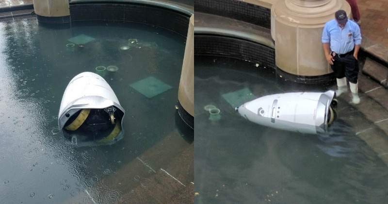 A Robot Security Guard Drowned Itself In A Pool Because It Had Suicidal ...