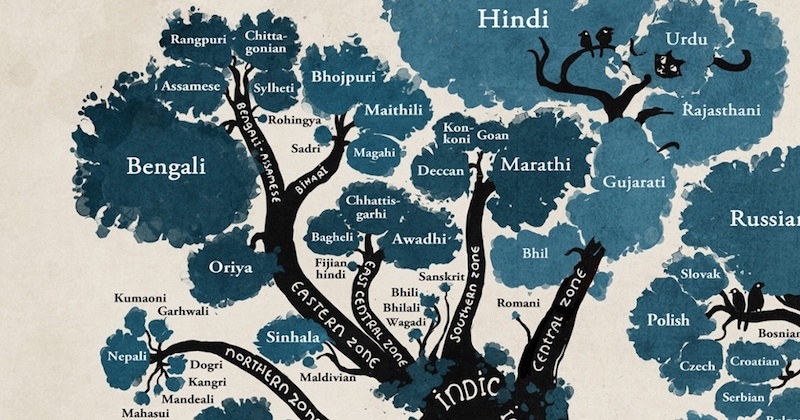 This Fascinating Tree Reveals How Languages Connect All The Way Back To ...