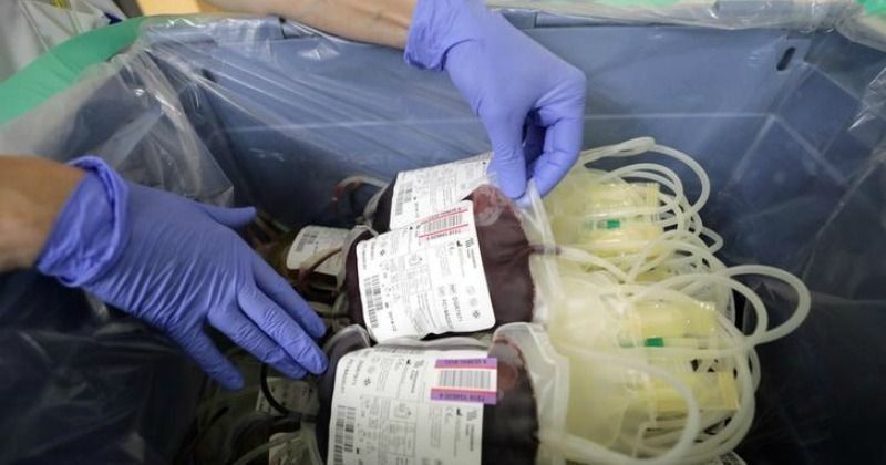 Rare Bombay Blood Group From Karnataka Saves Life Of 34-Year-Old Woman ...