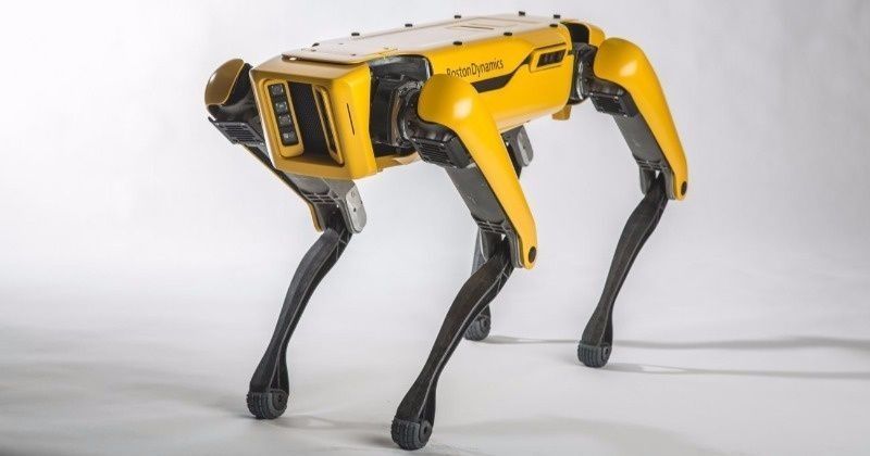 This Ingenious Dog-Robot From Boston Dynamics Can Now Turn Knobs And ...