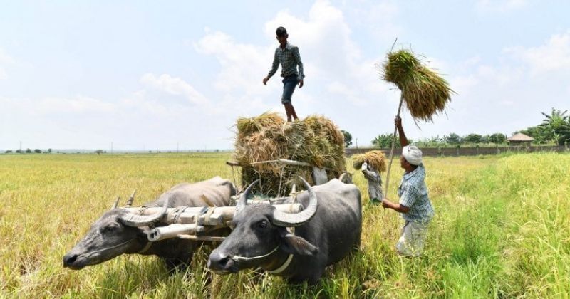 Goa Government Tells Farmers To Chant Vedic Mantra In Farms To Improve ...