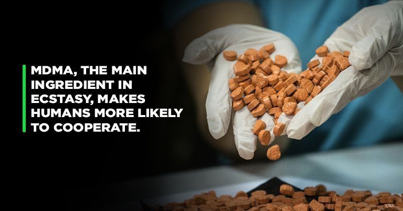 MDMA, The Key Ingredient In Ecstasy, Makes You Nicer But Not ...