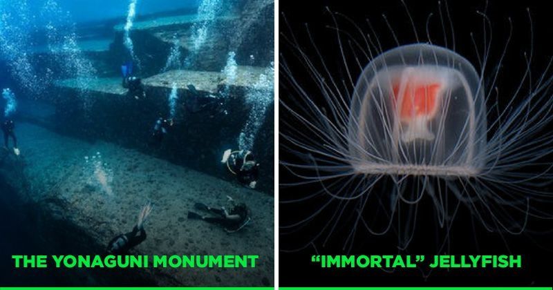 11 Unsolved Ocean Mysteries That Will Give You Nightmares - Indiatimes.com