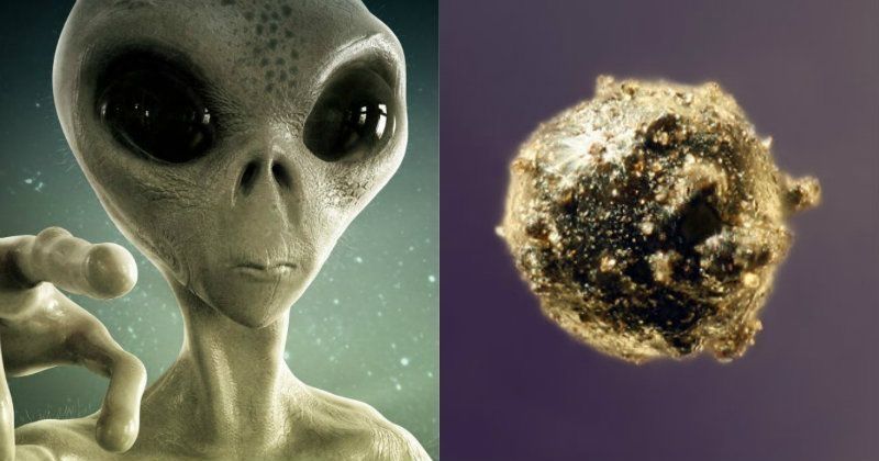 solar system:A Tiny 'Alien' Grain Found In Antarctica Is Challenging ...