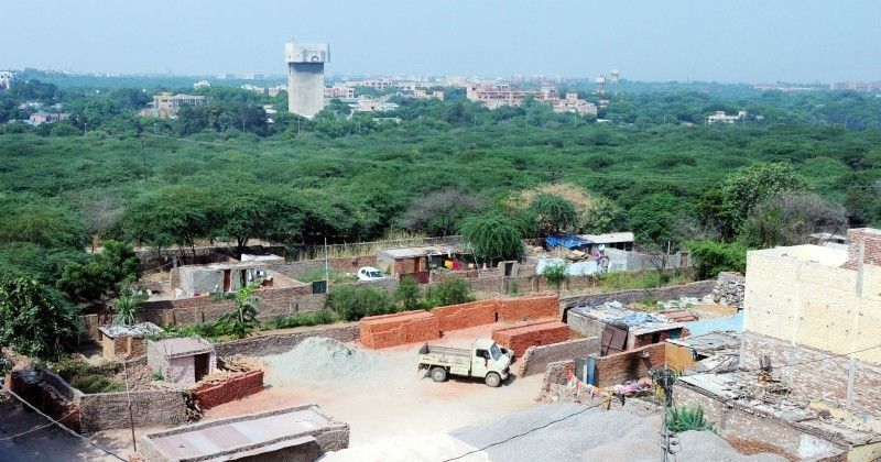 delhi ridge:Delhi's Ridge Forests To Now Get More Protection As Rs 19 ...