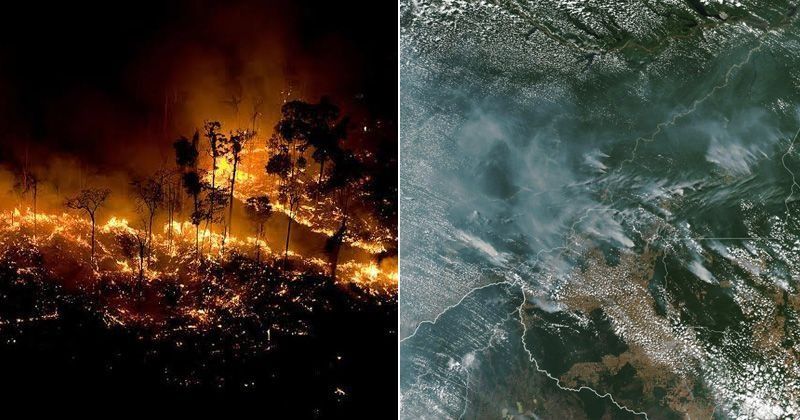 Amazon fire:Amazon - The Fire In World's Largest Rainforest Is So Huge ...