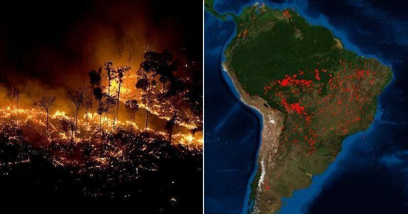 Amazon Rainforest fire:Amazon - The Fire In World's Largest Rainforest ...