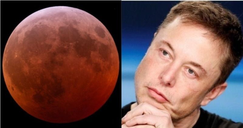 Elon Musk Moon:Elon Musk Hints That He Might Be Going To The Moon ...