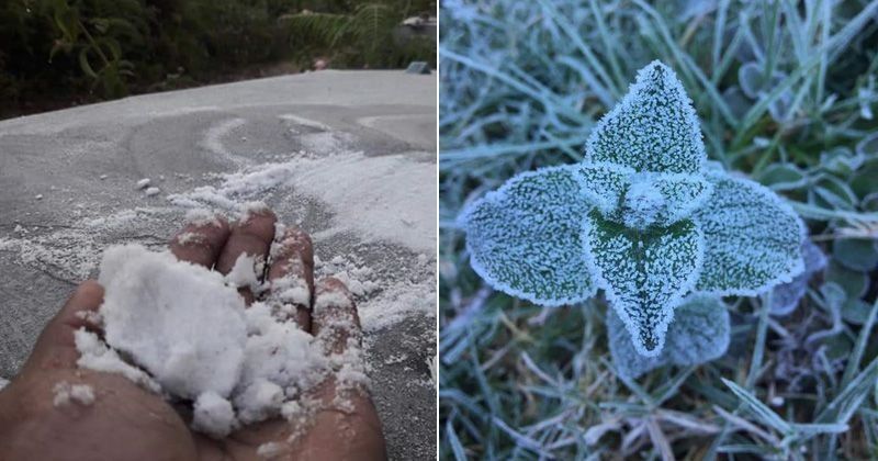 Munnar Snow:These 20 Images Of Munnar Will Make You Pack Your Bags And ...