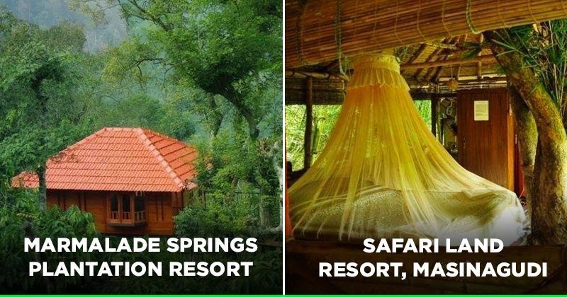 best tree houses in India:9 Beautiful Tree House Resorts In India That ...