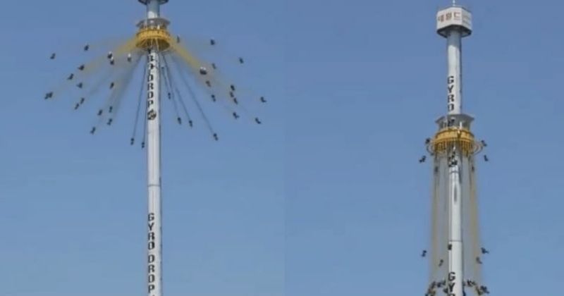 fake video:Remember The Video Of The Theme Park Ride That Went Viral ...