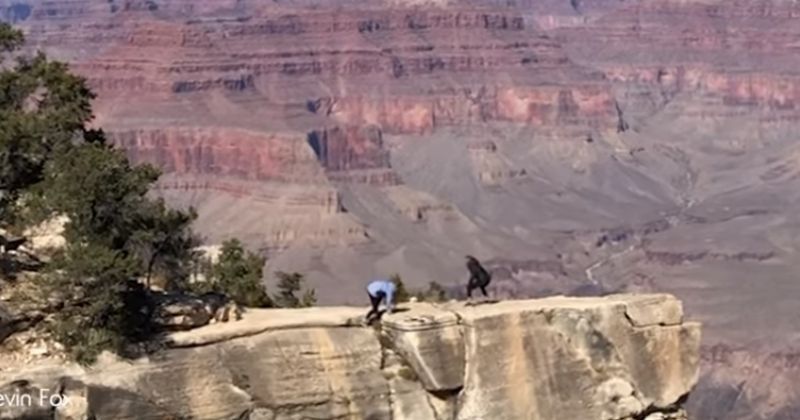 Grand Canyon:Terrifying Video Captures Woman Escaping A Deadly Plunge ...
