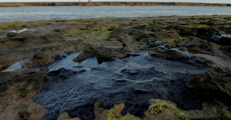 27 Painful Pictures Of Partition Which Killed A Million People And ...