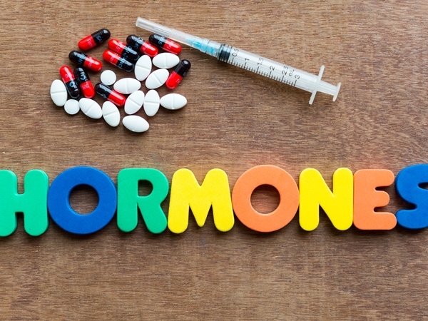 14 Things You Should Know About Your Hormones and the Endocrine System ...